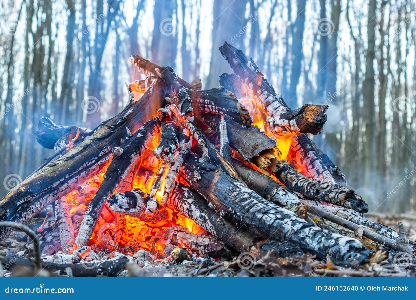 Campfire in the Spring Forest. Rest on the Weekend Stock Photo - Image ...