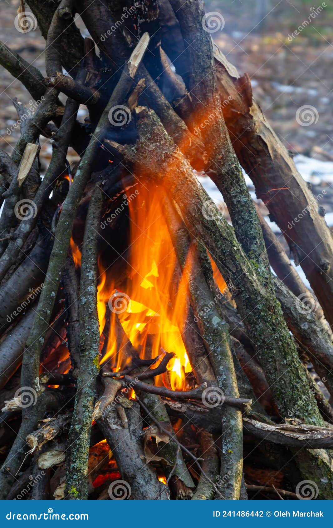 Campfire in the Spring Forest. Rest on the Weekend Stock Photo - Image ...