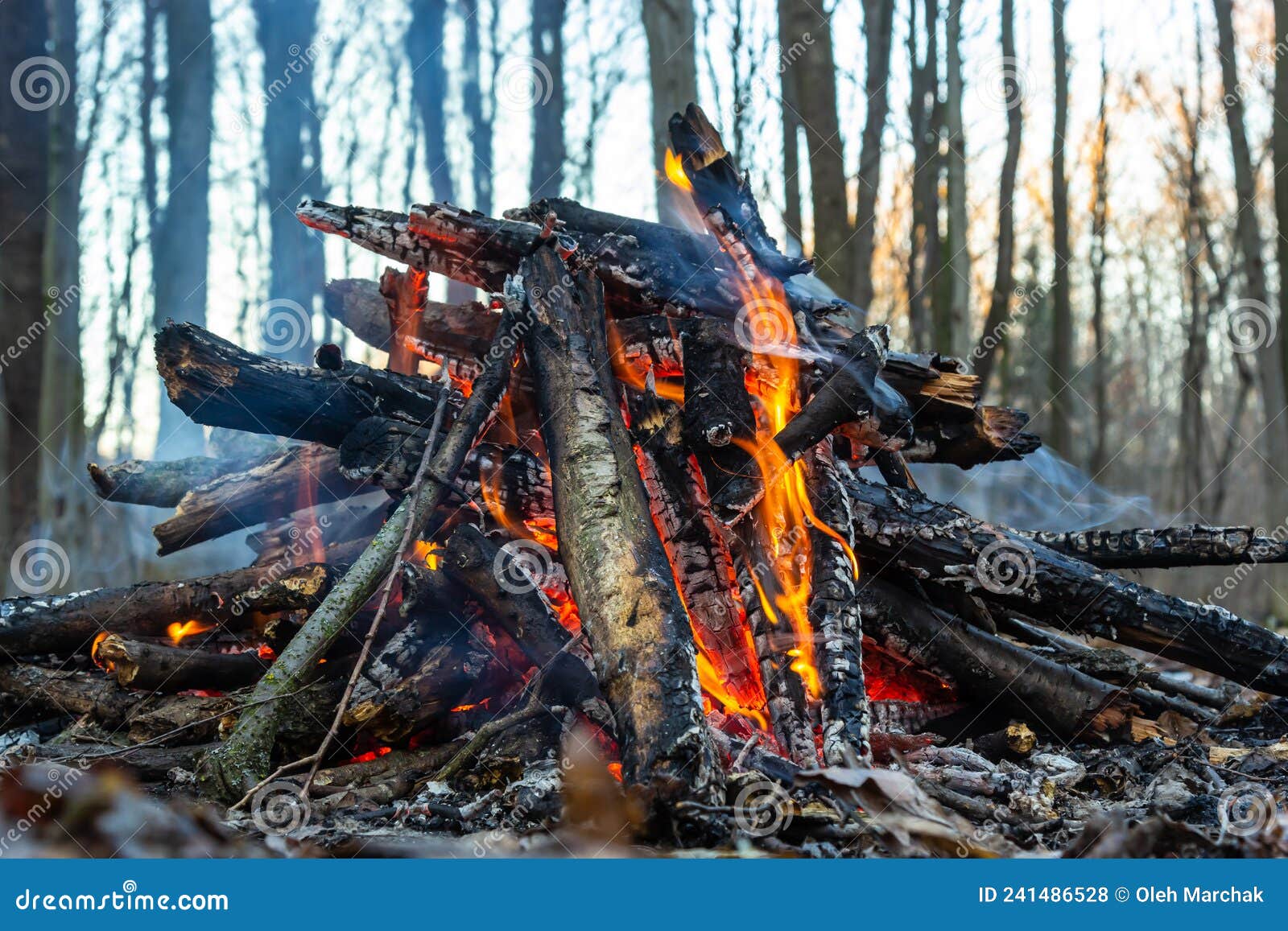 Campfire in the Spring Forest. Rest on the Weekend Stock Photo - Image ...
