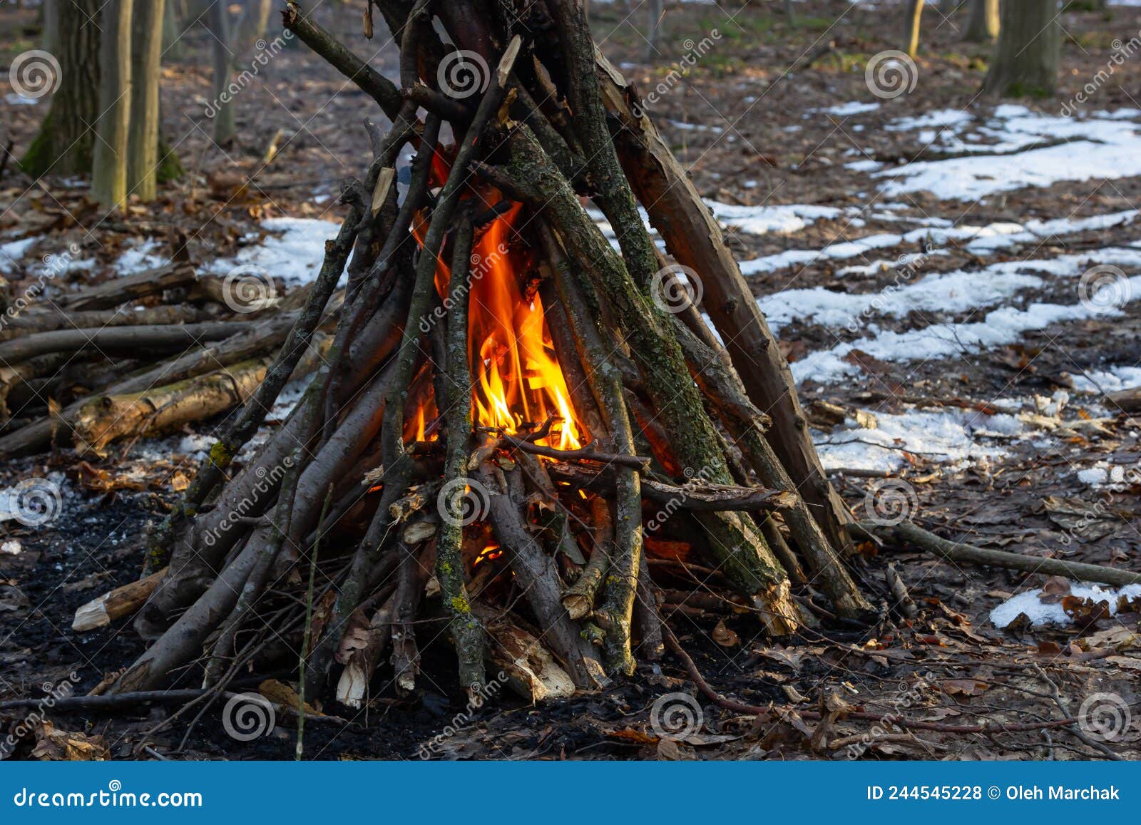 Campfire in the Spring Forest. Rest on the Weekend Stock Photo - Image ...
