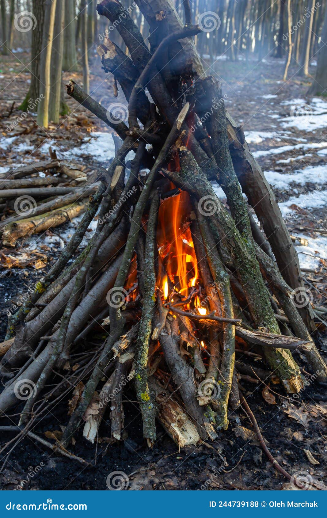 Campfire in the Spring Forest. Rest on the Weekend Stock Photo - Image ...