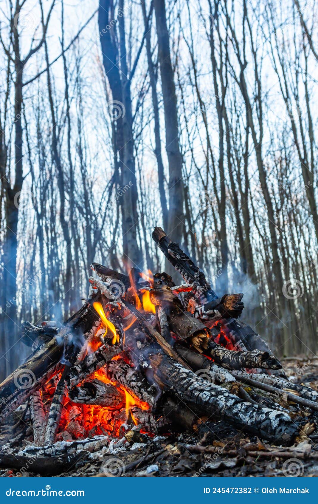 Campfire in the Spring Forest. Rest on the Weekend Stock Photo - Image ...