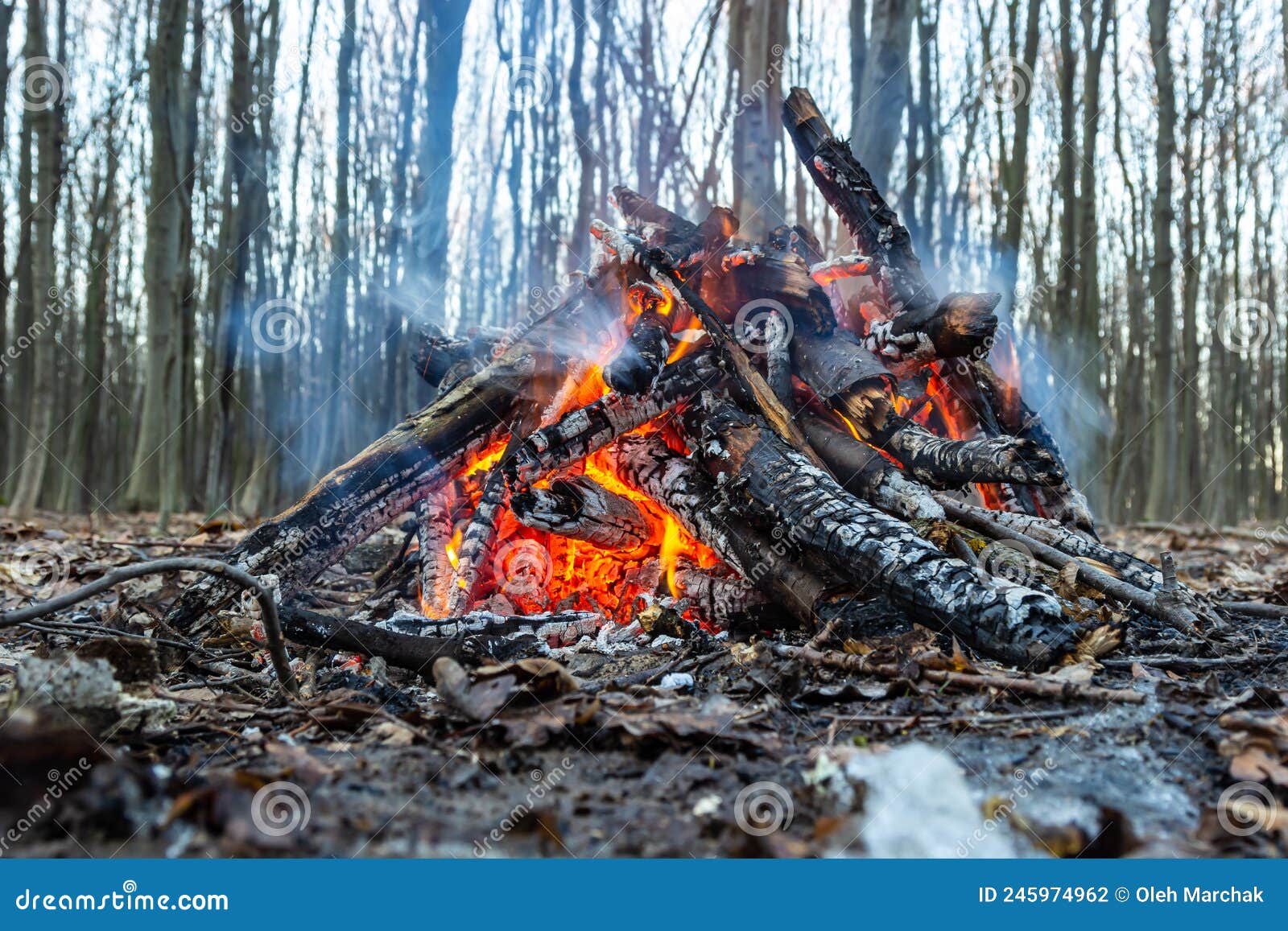 Campfire in the Spring Forest. Rest on the Weekend Stock Photo - Image ...