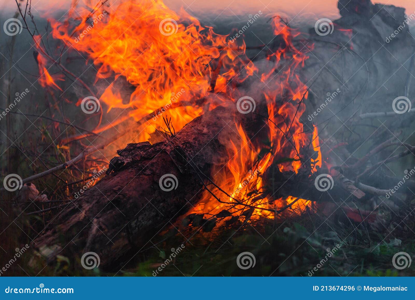 Campfire at sunset time stock photo. Image of fire, heat - 213674296