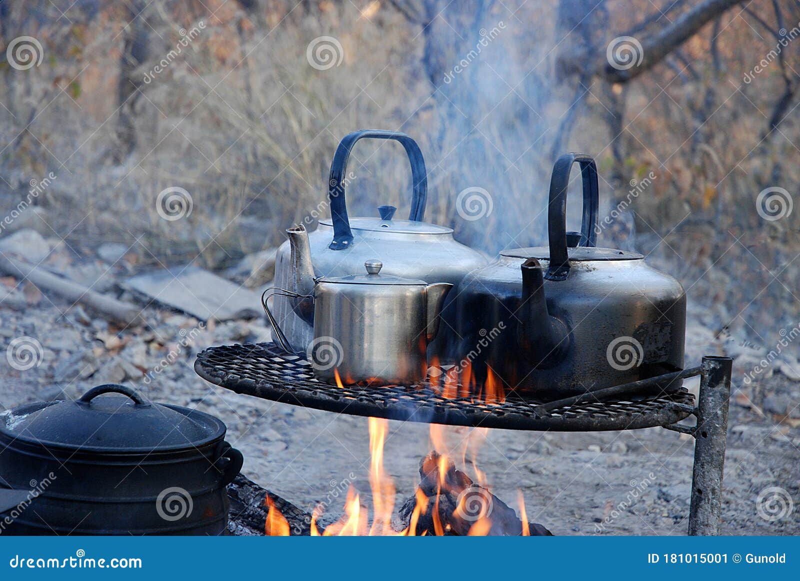 Campfire in the Wilderness in Namibia Stock Image - Image of ...