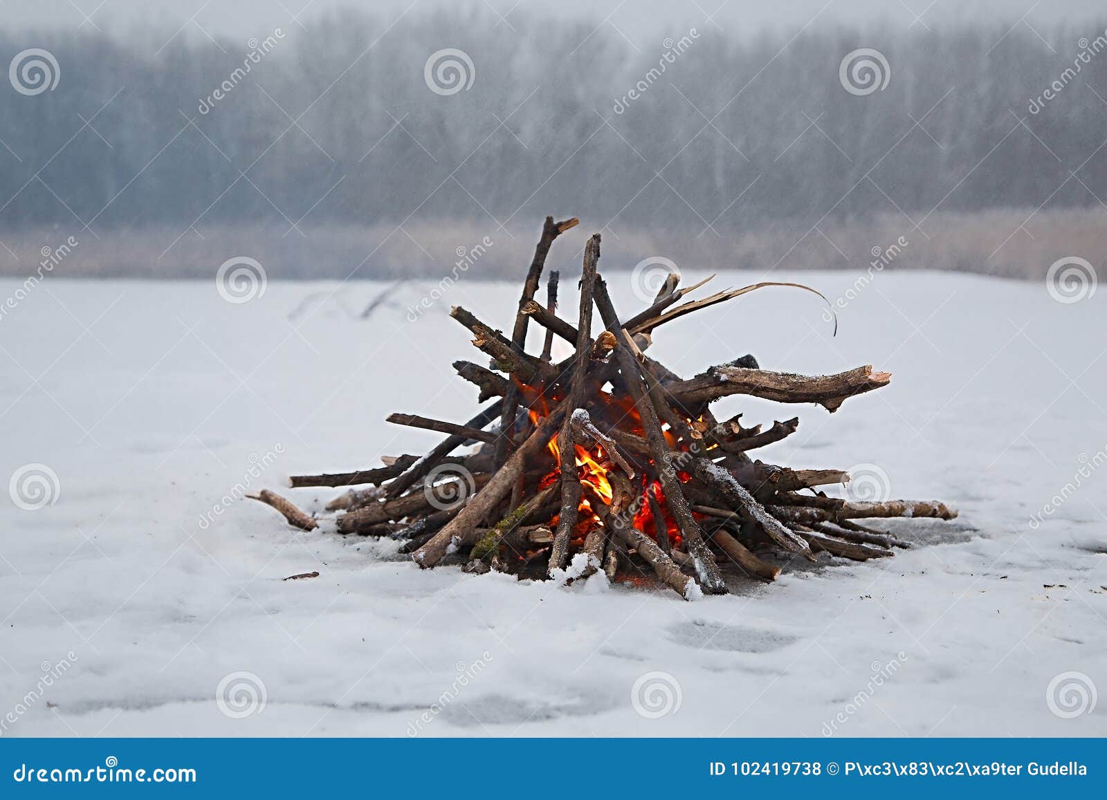 Campfire in winter stock photo. Image of leak, campsite - 102419738