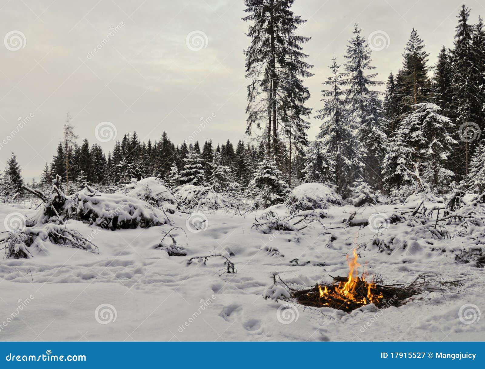 Campfire in the Winter Forest Stock Image - Image of footstep, camp ...