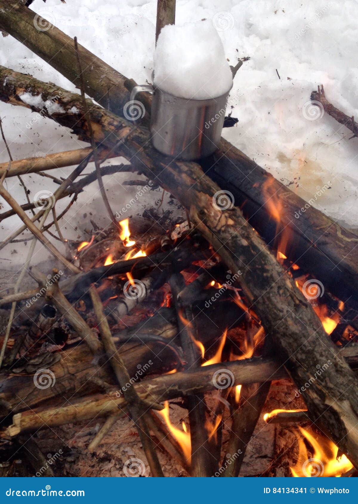 Campfire in winter forest stock image. Image of contrasts - 84134341