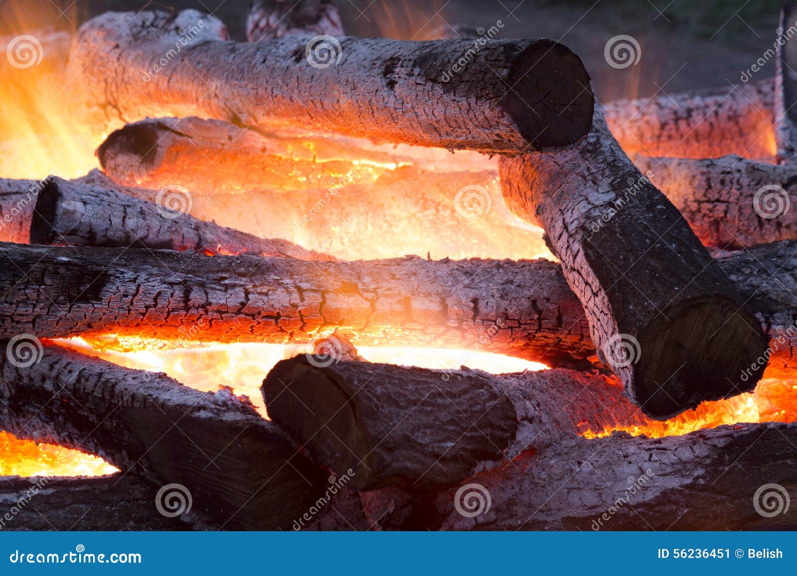 Campfire in the woods stock image. Image of igniting - 56236451