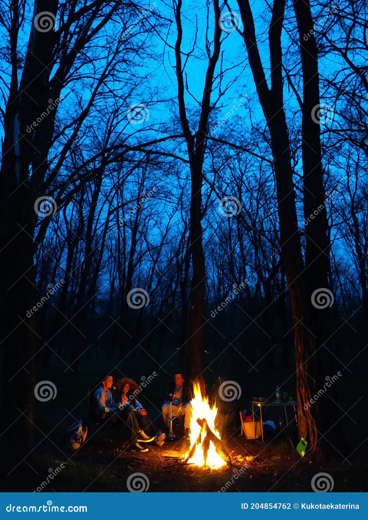 Campfire in the Woods. Outdoor Recreation a Stock Photo - Image of ...