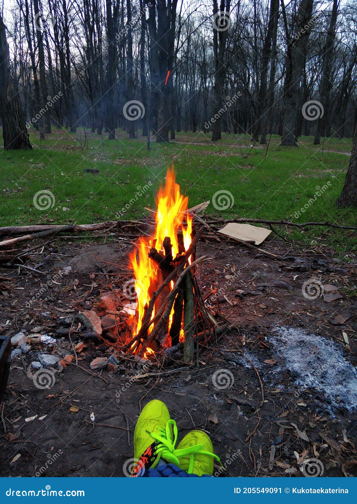 Campfire in the Woods. Outdoor Recreation Stock Image - Image of park ...