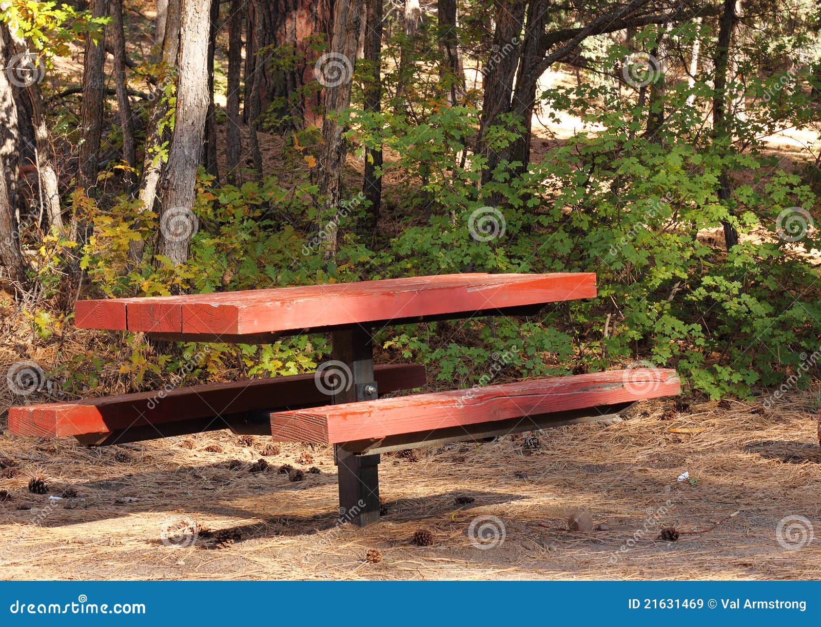 Campground Picnic Table stock image. Image of picnic - 21631469