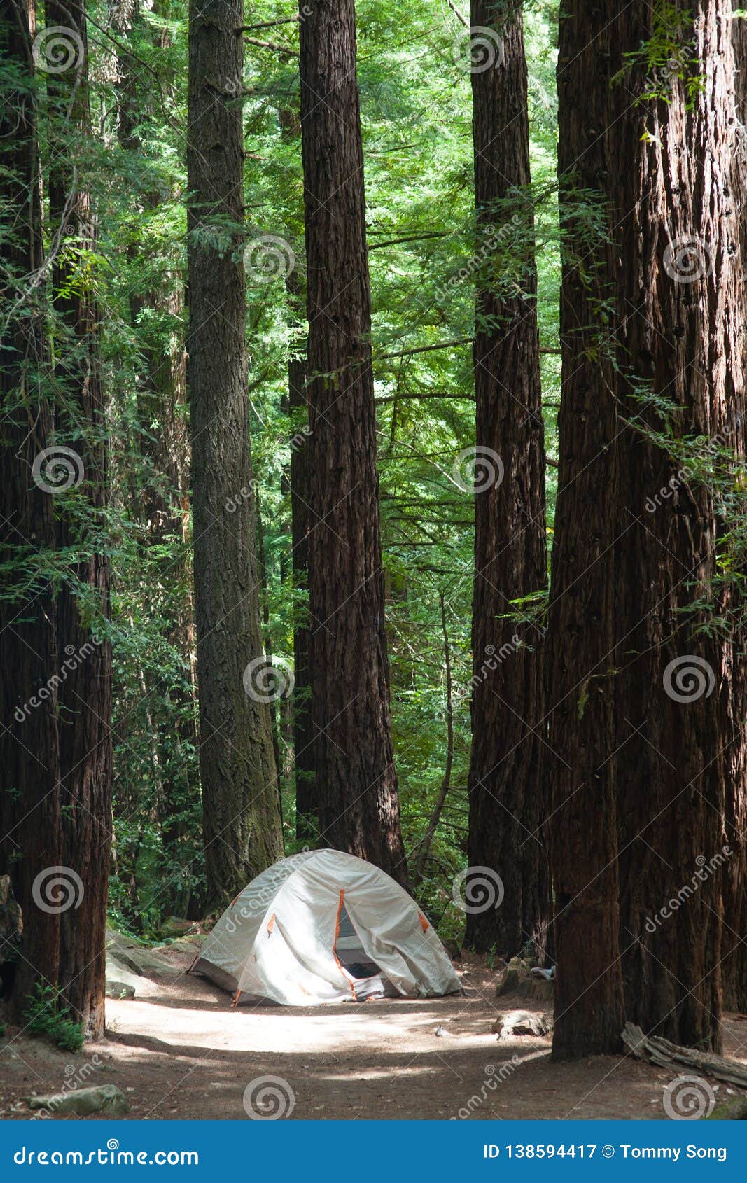 Campground and Tent at Big Basin Redwoods State Park Stock Image ...