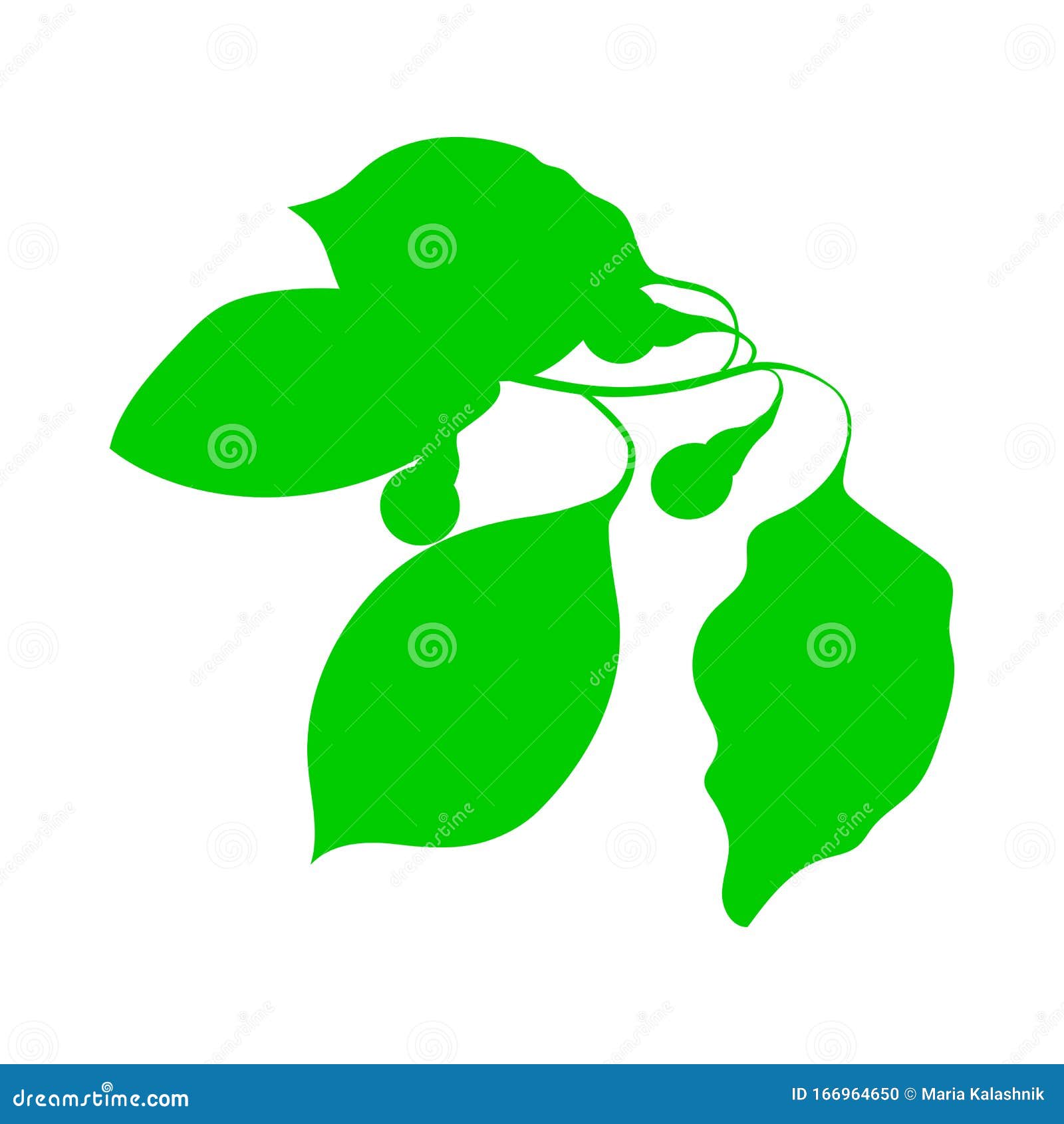 Camphor Isolated On White, Clip Art Camphor Vector Illustration ...