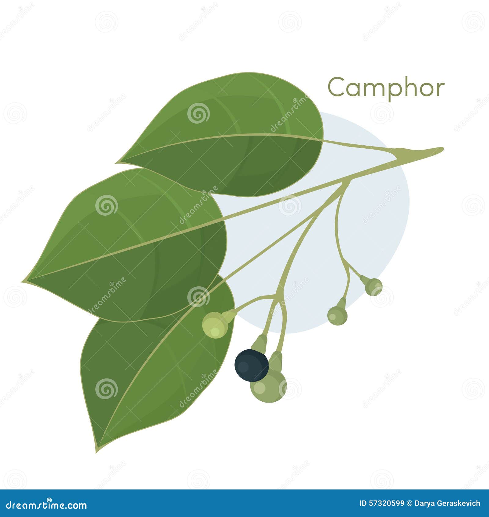 Camphor Cartoons, Illustrations & Vector Stock Images - 735 Pictures to ...