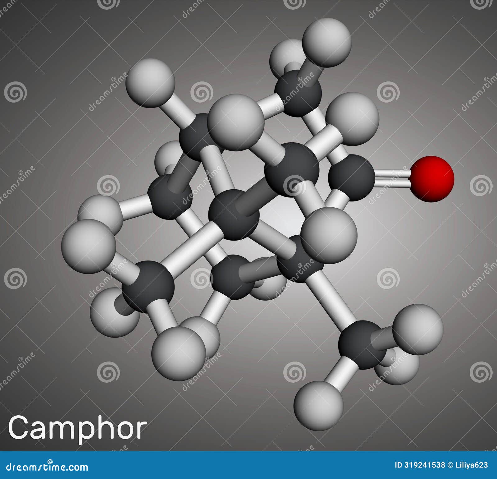 Camphor Molecule. it is Terpenoid and a Cyclic Ketone. Molecular Model ...