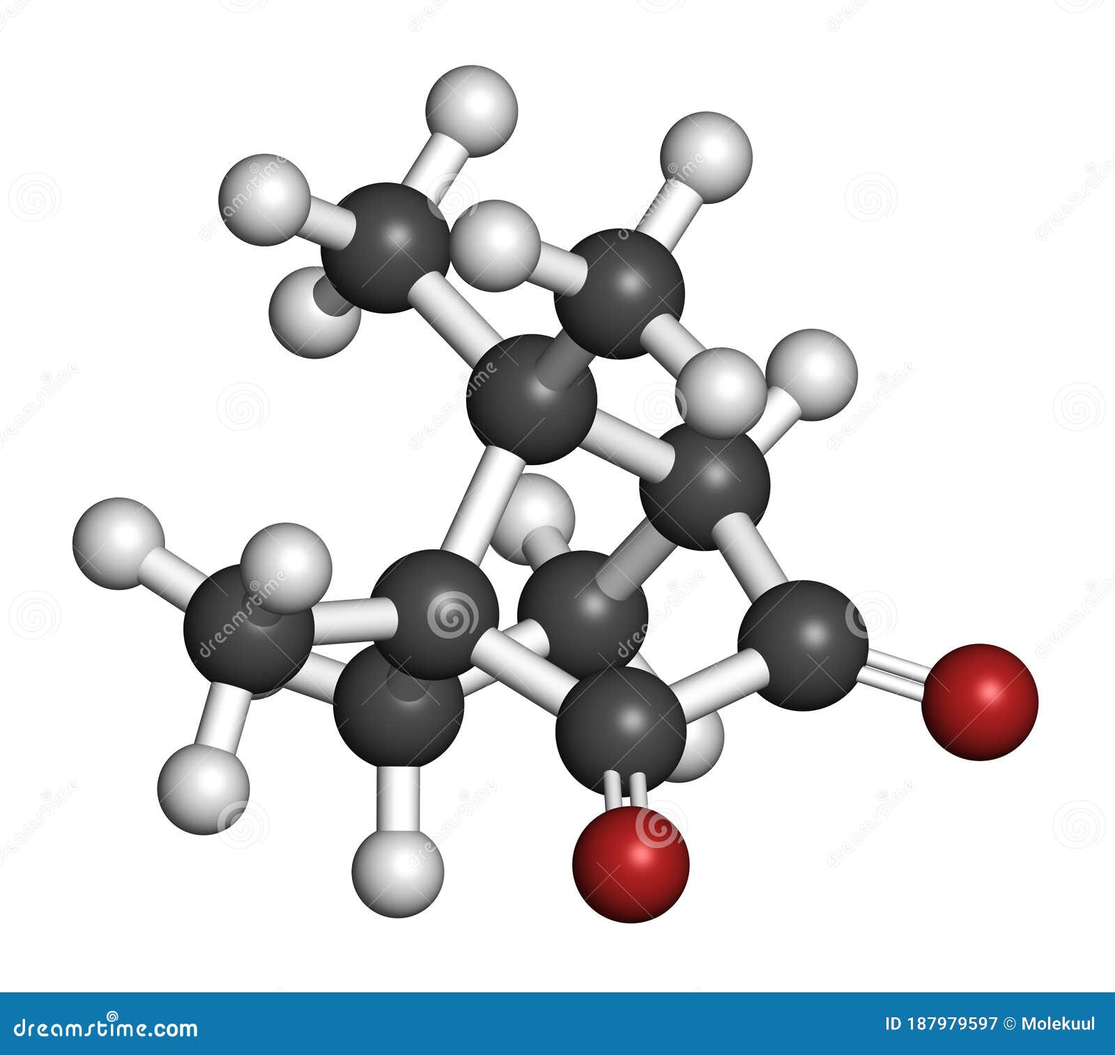 Camphorquinone Visible-light Photoinitiator Molecule Cartoon Vector ...