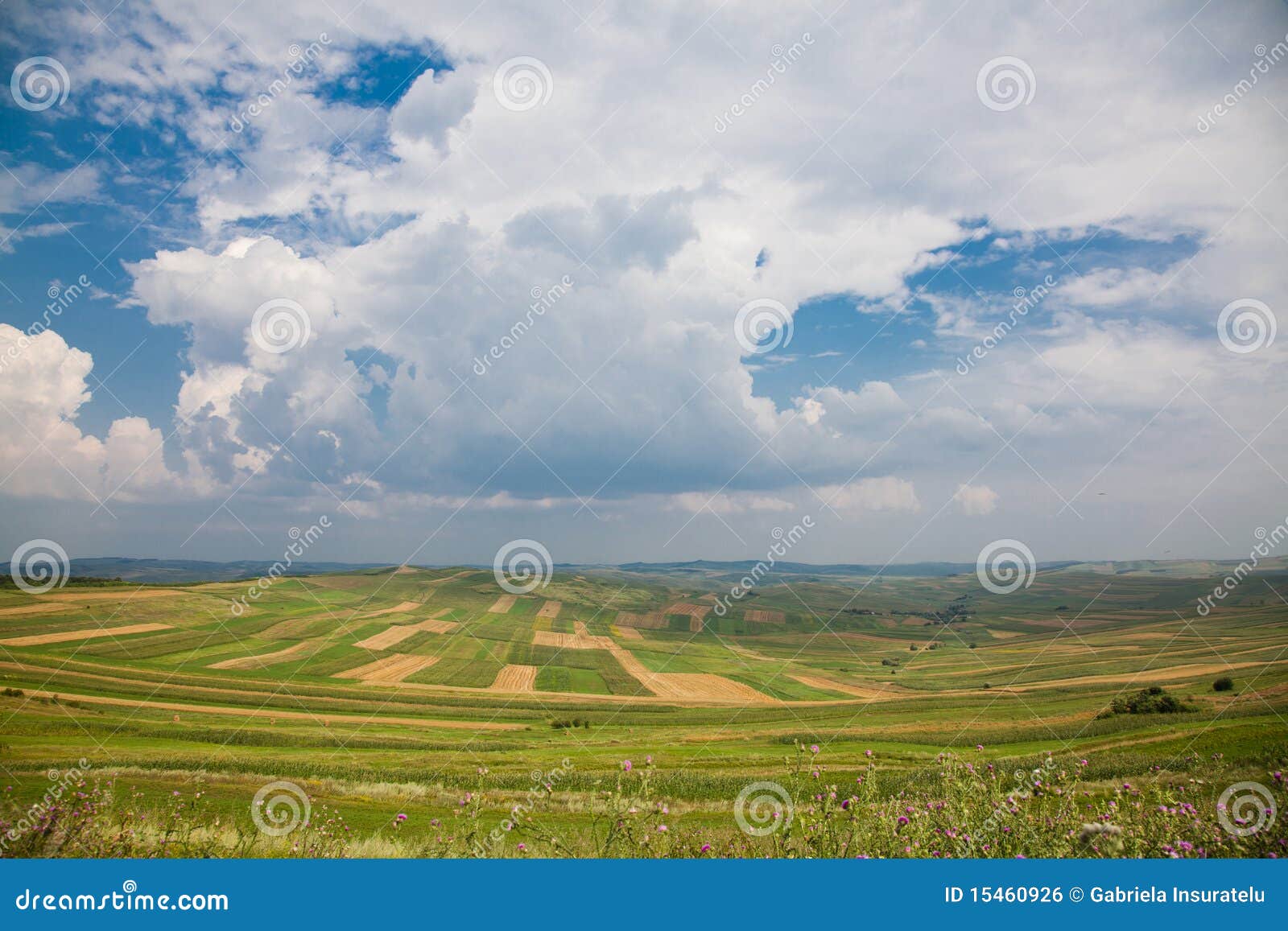Campi coltivati in Romania fotografia stock. Immagine di agricoltura ...