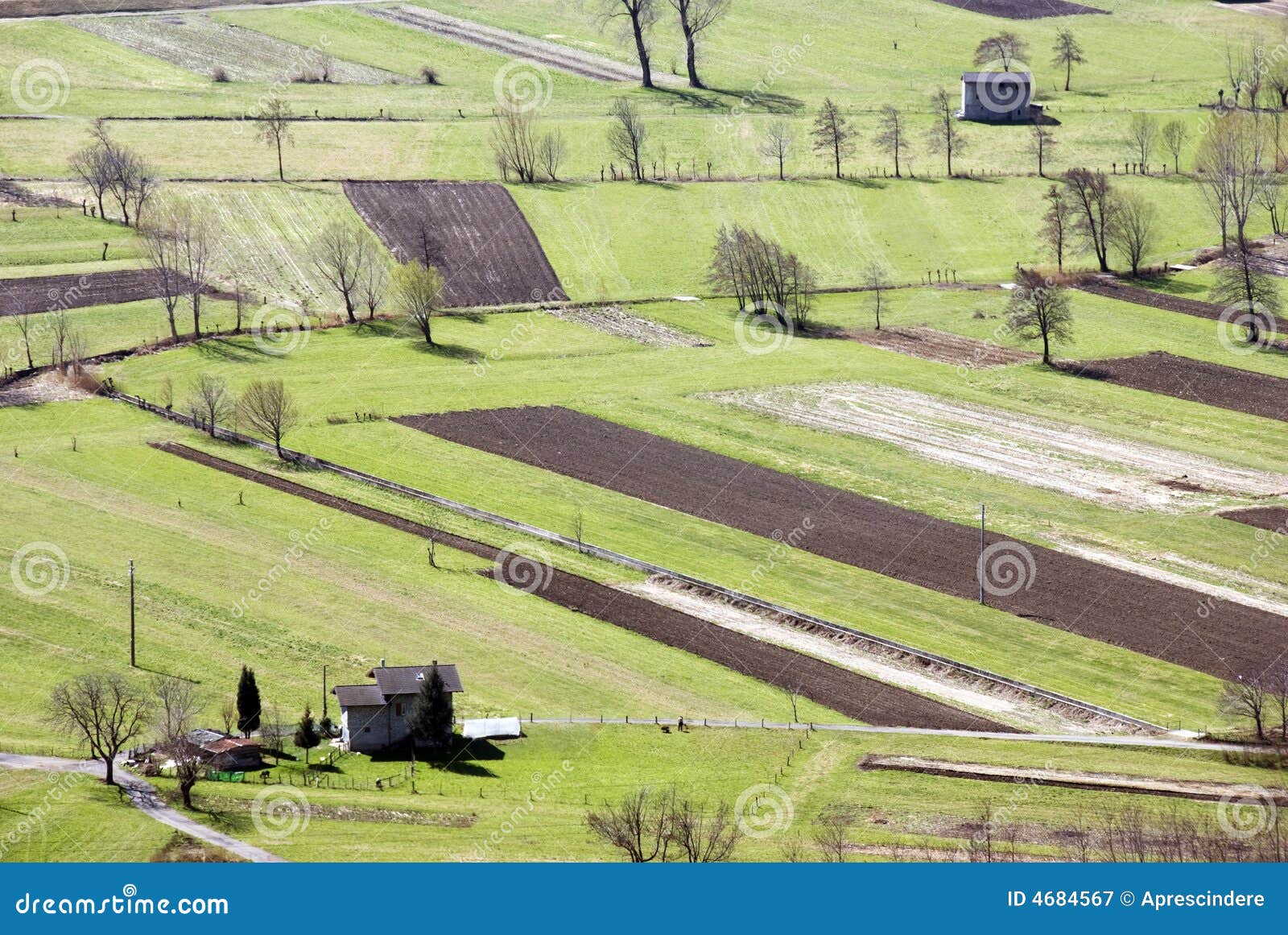 Campi italiani immagine stock. Immagine di colture, bestiami - 4684567