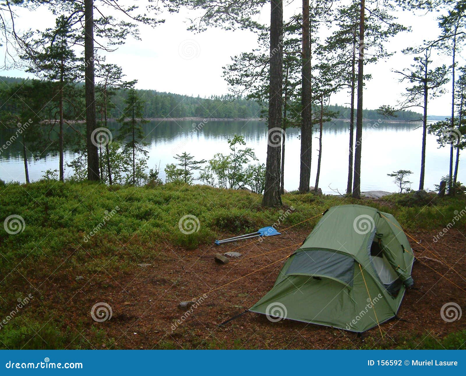 Camping stock photo. Image of sport, tranquility, summer - 156592