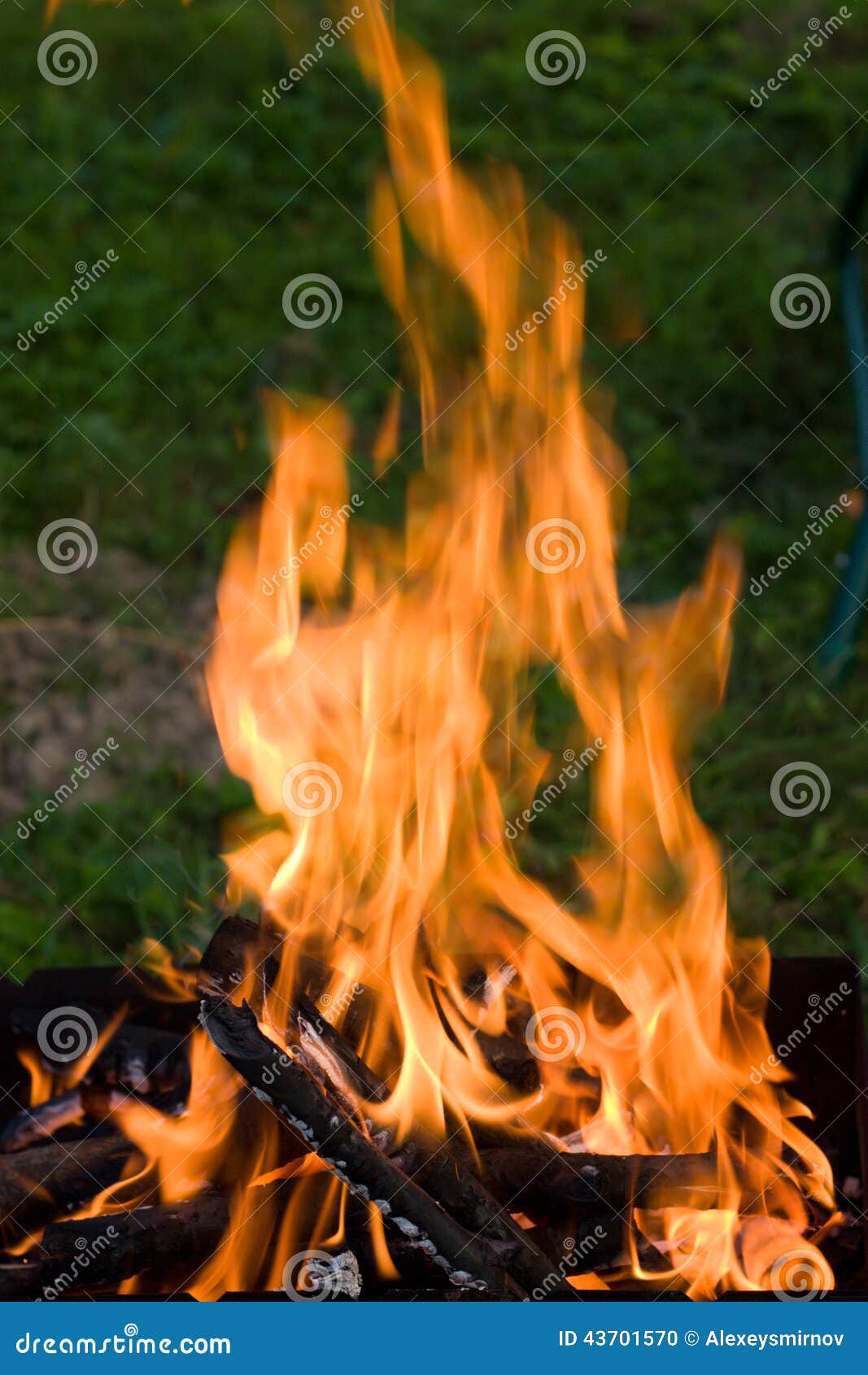 Camping bonfire stock photo. Image of woods, fire, flame - 43701570
