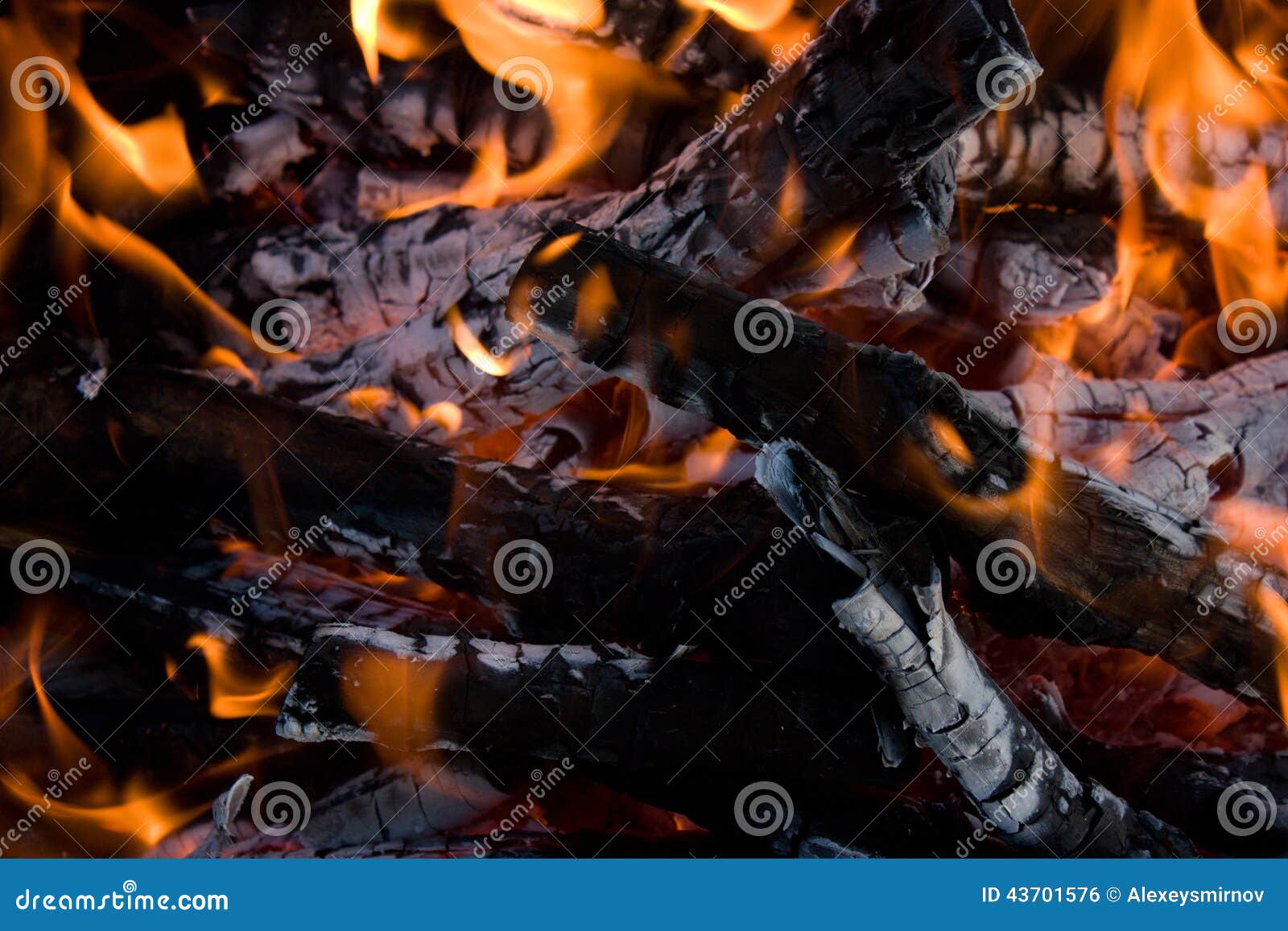Camping bonfire stock photo. Image of orange, camping - 43701576