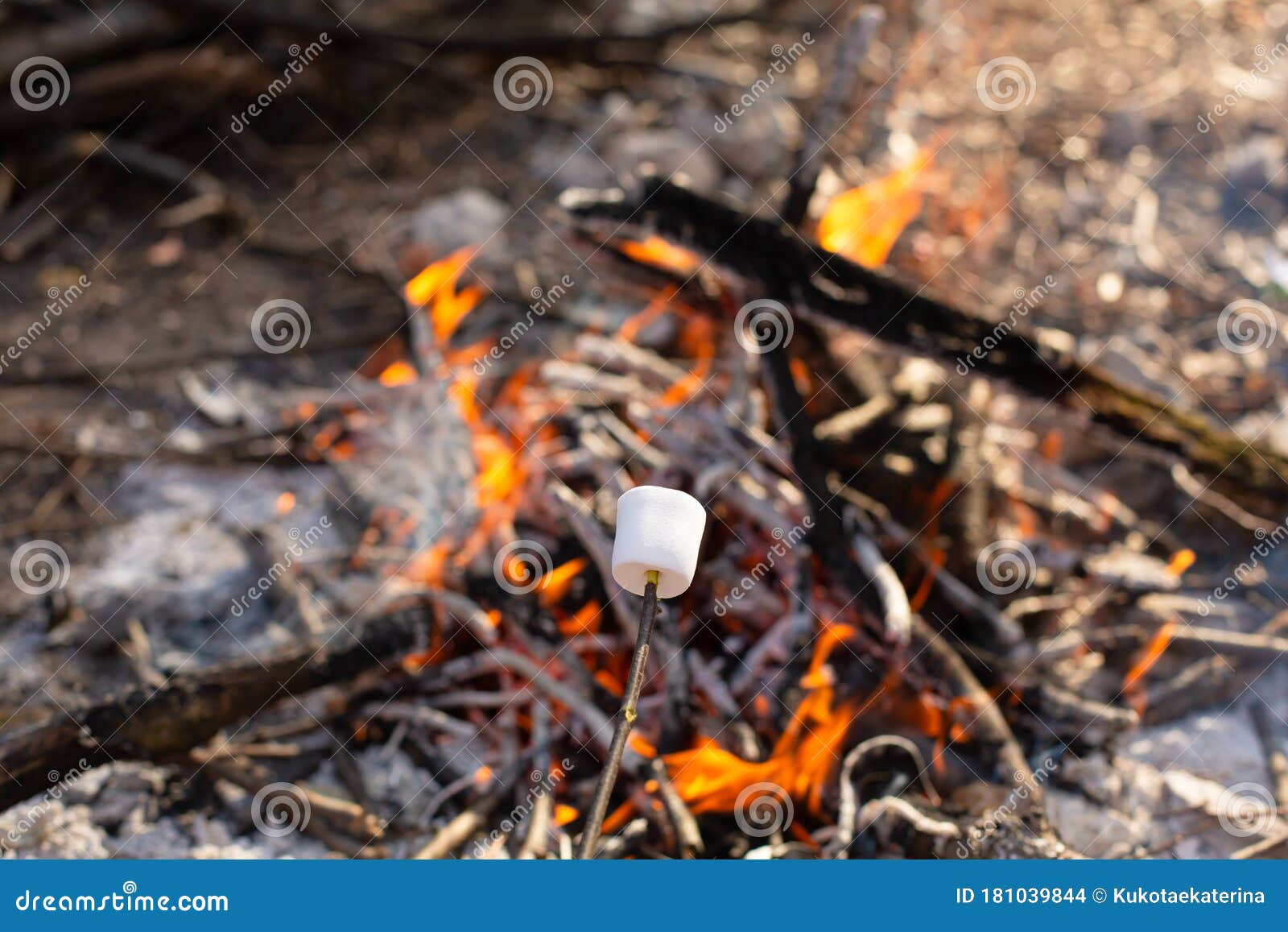 Camping Bonfire, Frying Marshmallows at the Stake Stock Photo - Image ...
