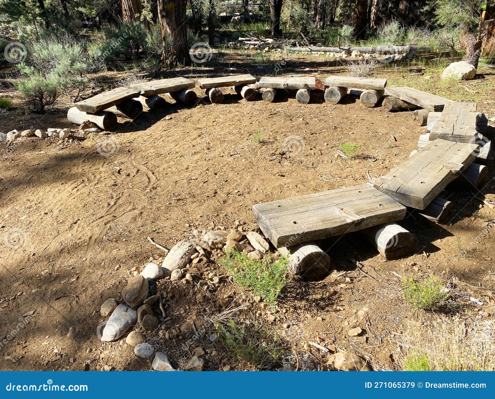 Camping Campground Camping Outdoors Campfire Forest Summer Camp Circle ...