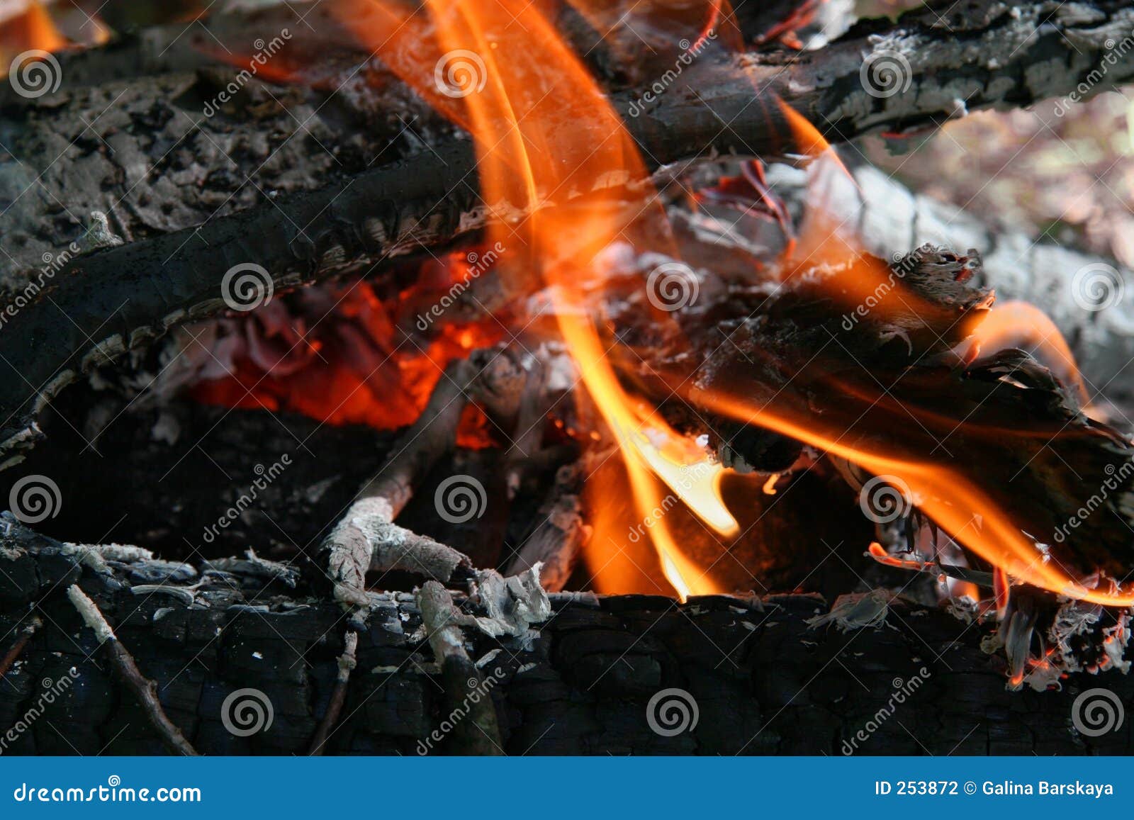 Camping fire stock photo. Image of flaming, danger, warmth - 253872