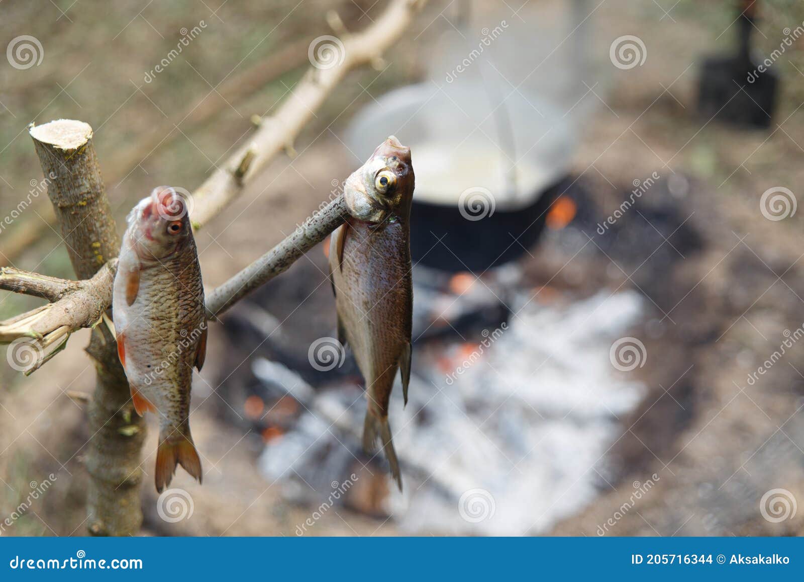 Camping food stock photo. Image of broth, heat, cooked - 205716344