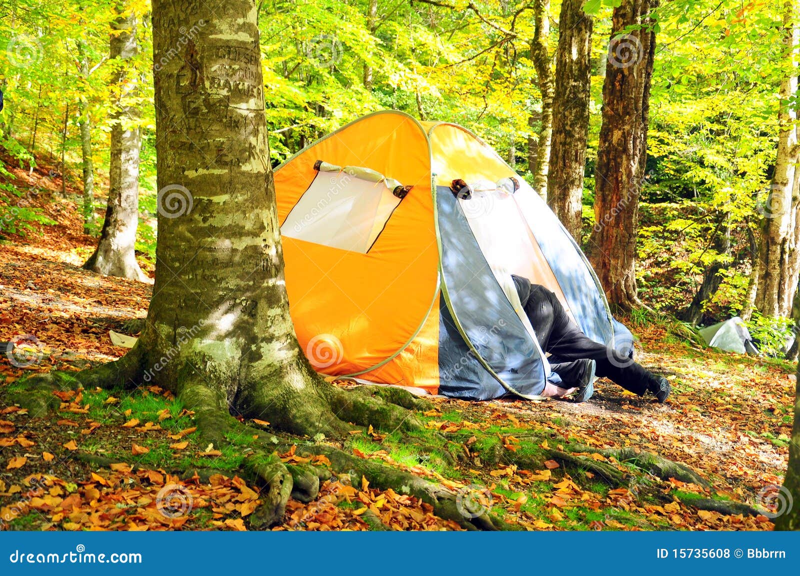 Camping in a forest stock photo. Image of beautiful, grass - 15735608