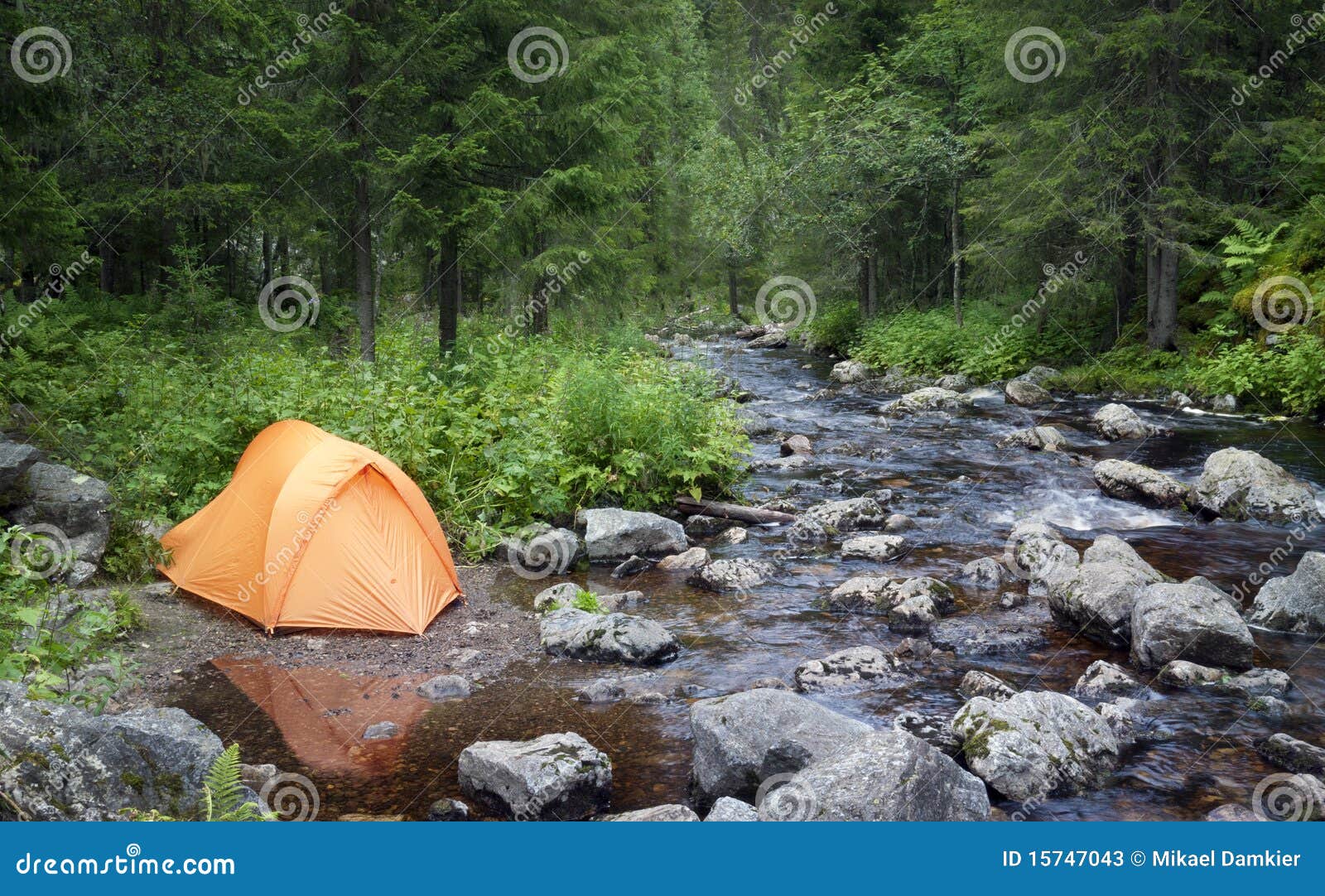 Camping in the Forest stock image. Image of wilderness - 15747043