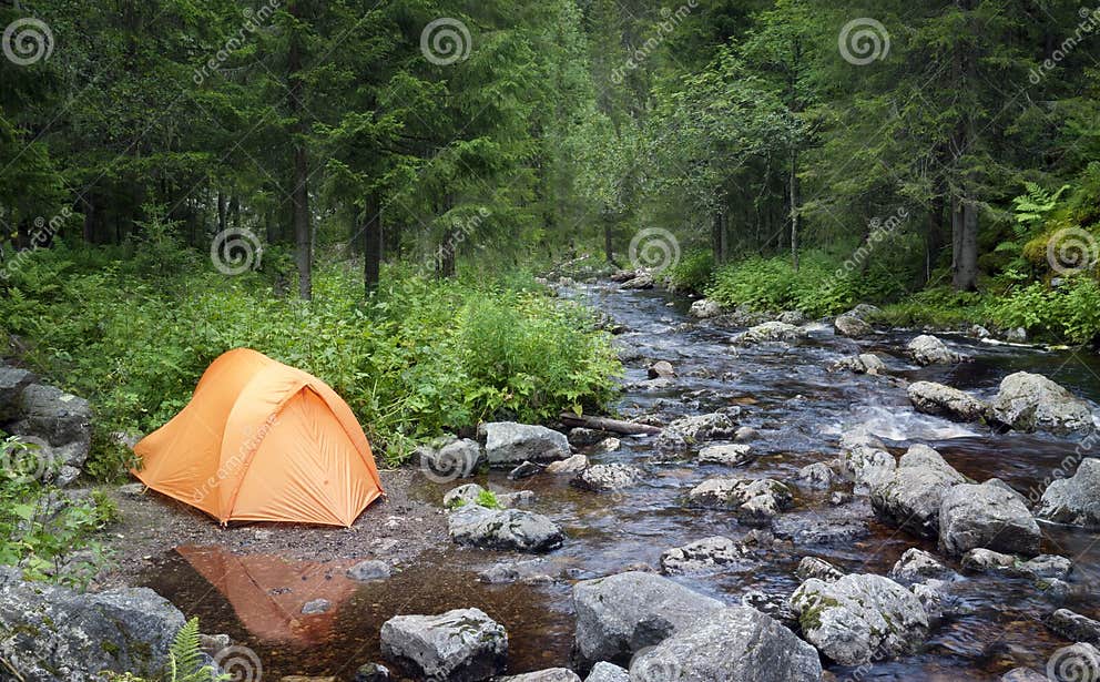 Camping in the Forest stock image. Image of wilderness - 15747043