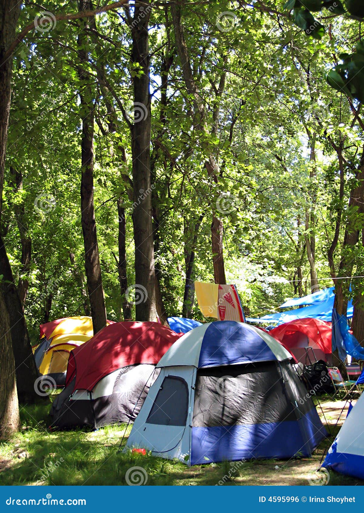 Camping in the Forest stock photo. Image of escape, park - 4595996