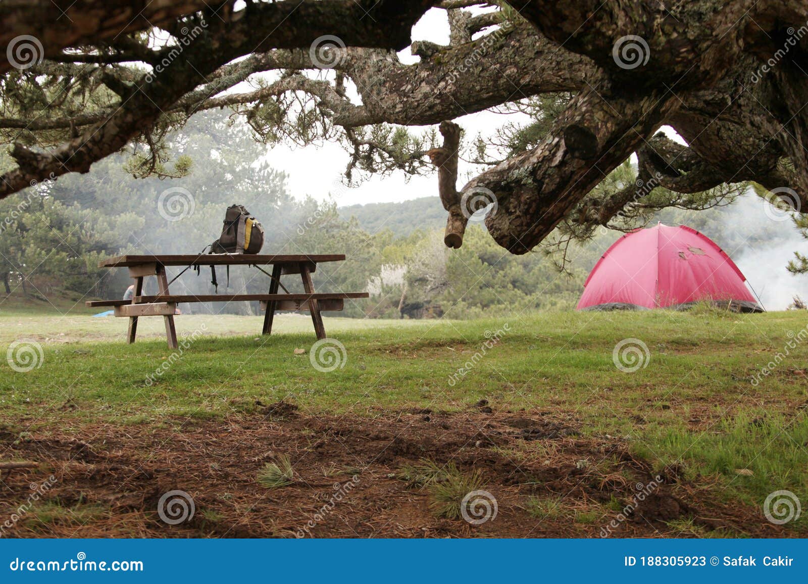 Camping in the forest. stock image. Image of lifestyles - 188305923