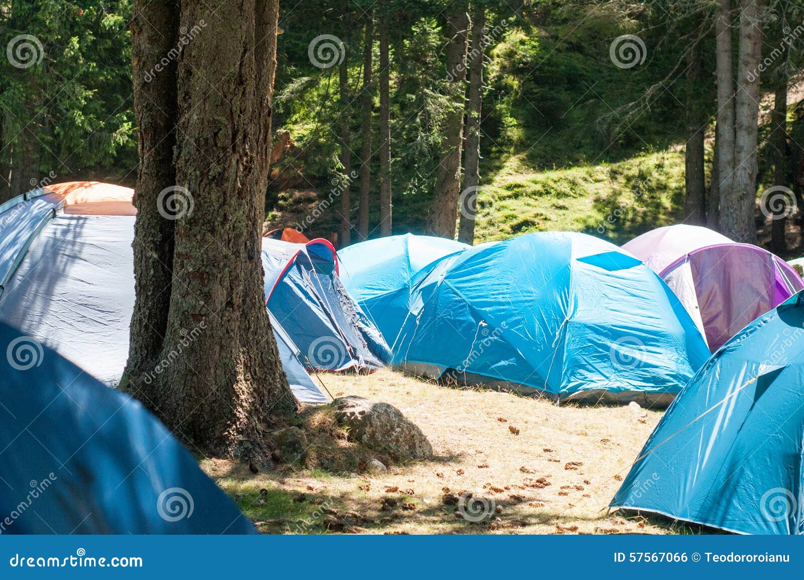Camping in the forest stock photo. Image of clouds, lots - 57567066