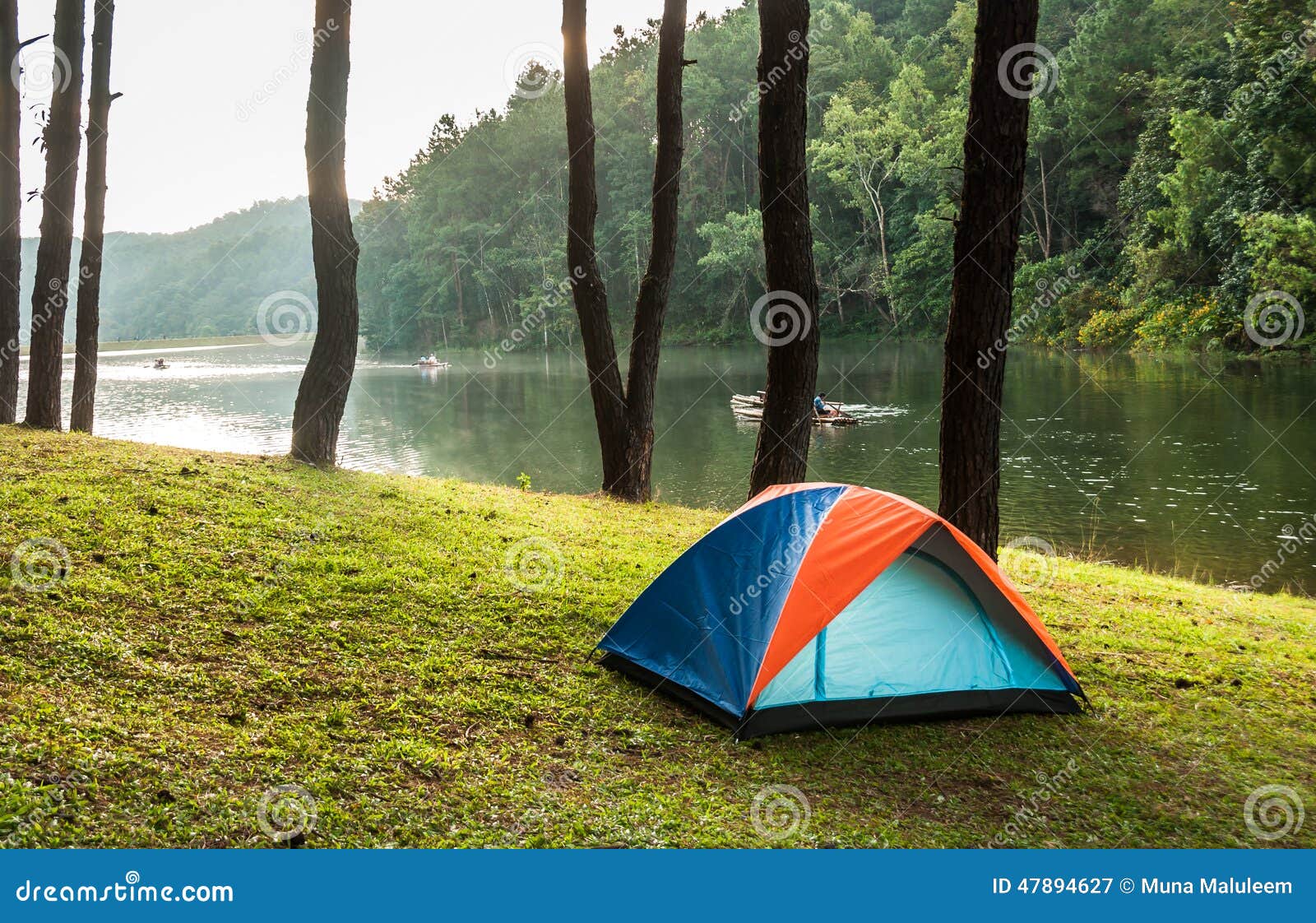 Camping in forest stock image. Image of green, rural - 47894627
