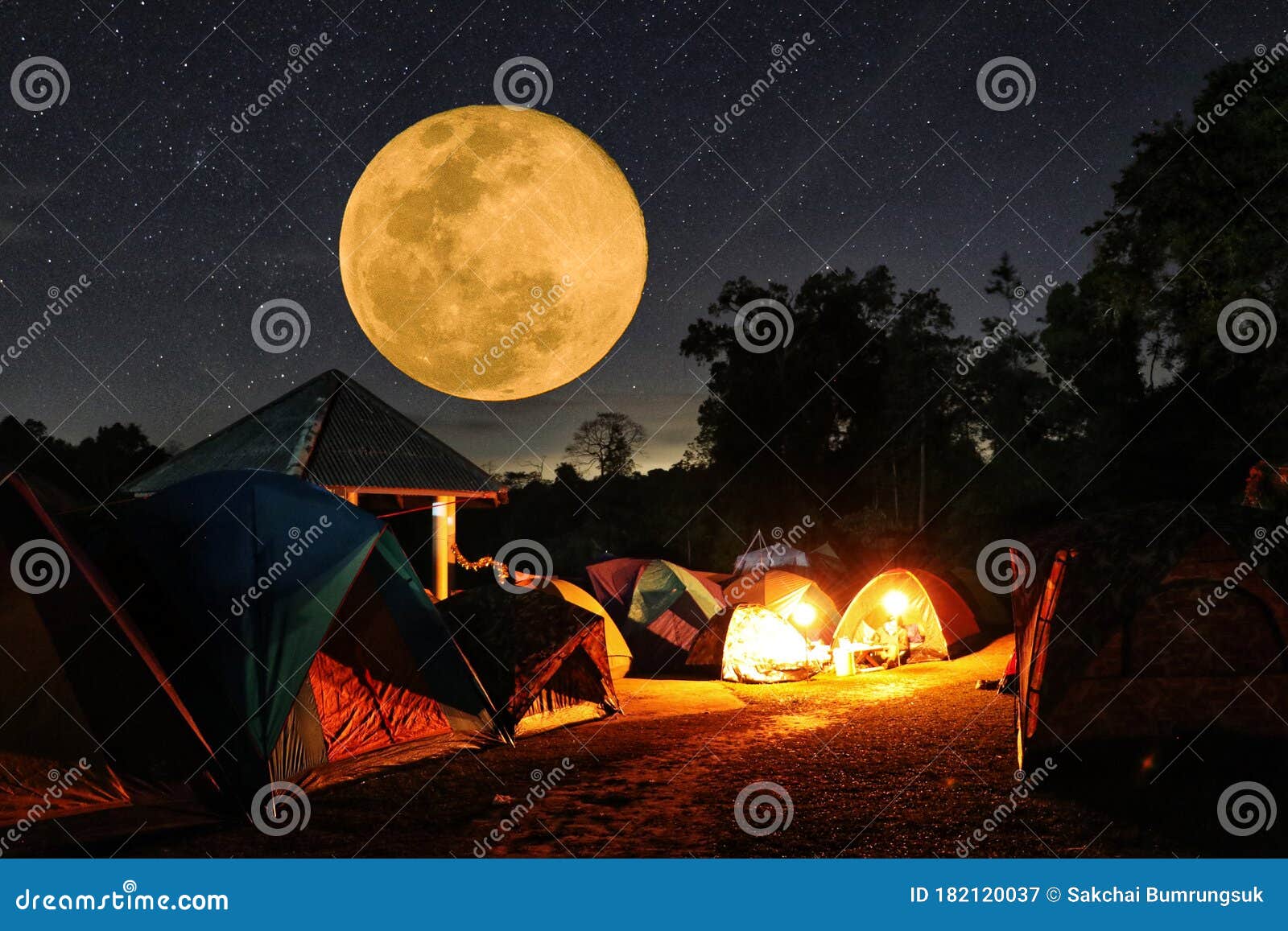 Camping on full moon stock image. Image of night, tree - 182120037
