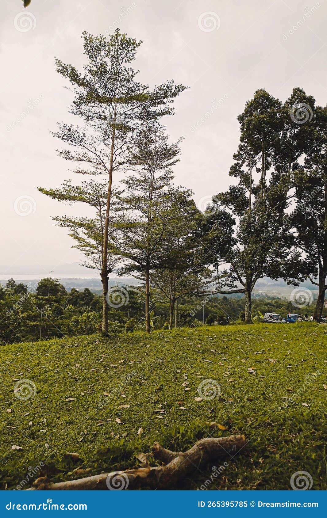 Camping Ground Scenery stock image. Image of scenery - 265395785
