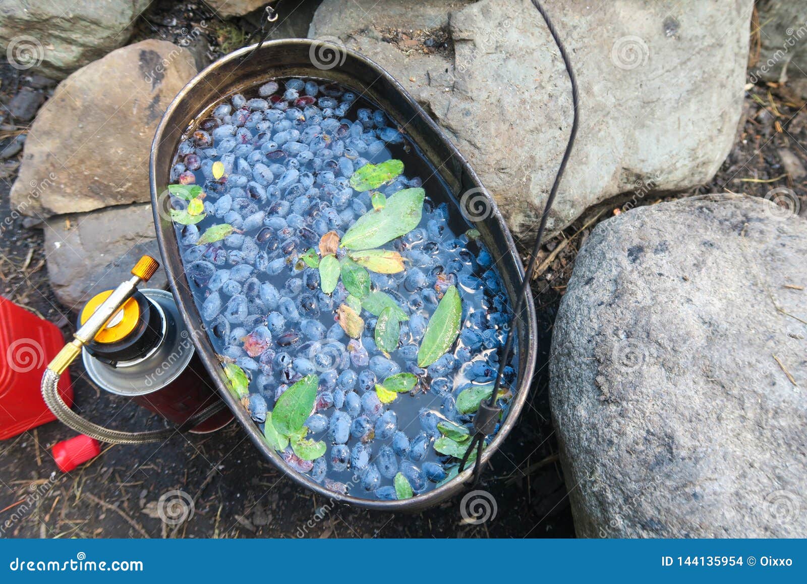 Camping Herbal Tea with Blue Berries. Honeysuckle Camping Tea in a Pot ...
