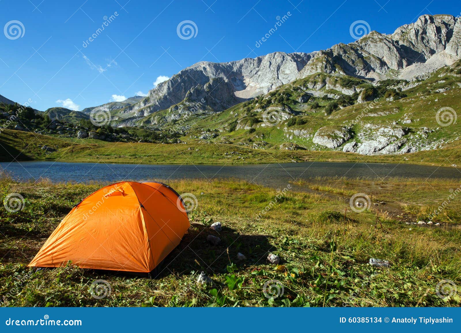 Camping in mountain lake stock photo. Image of idyllic - 60385134