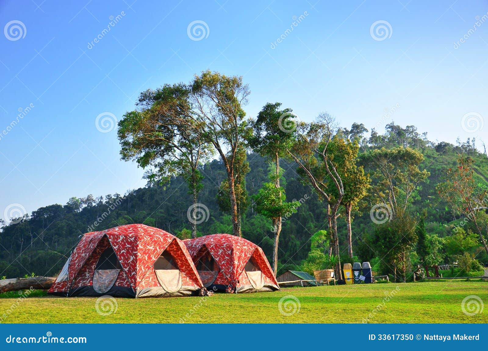 Camping with natural stock photo. Image of camping, forest - 33617350