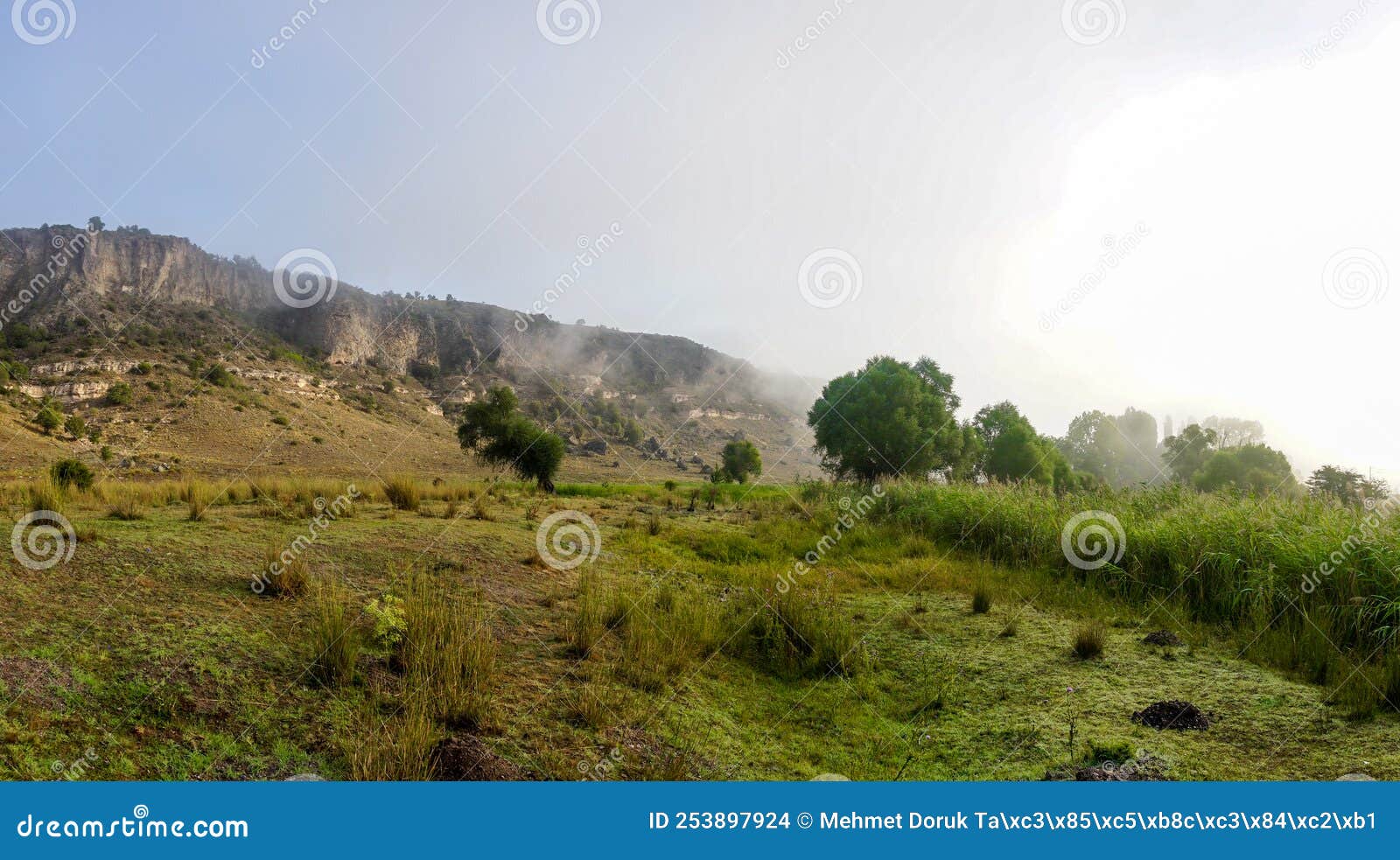 Nature Is Waking Up And Spring Is Coming. One Beautiful Moment. A New ...