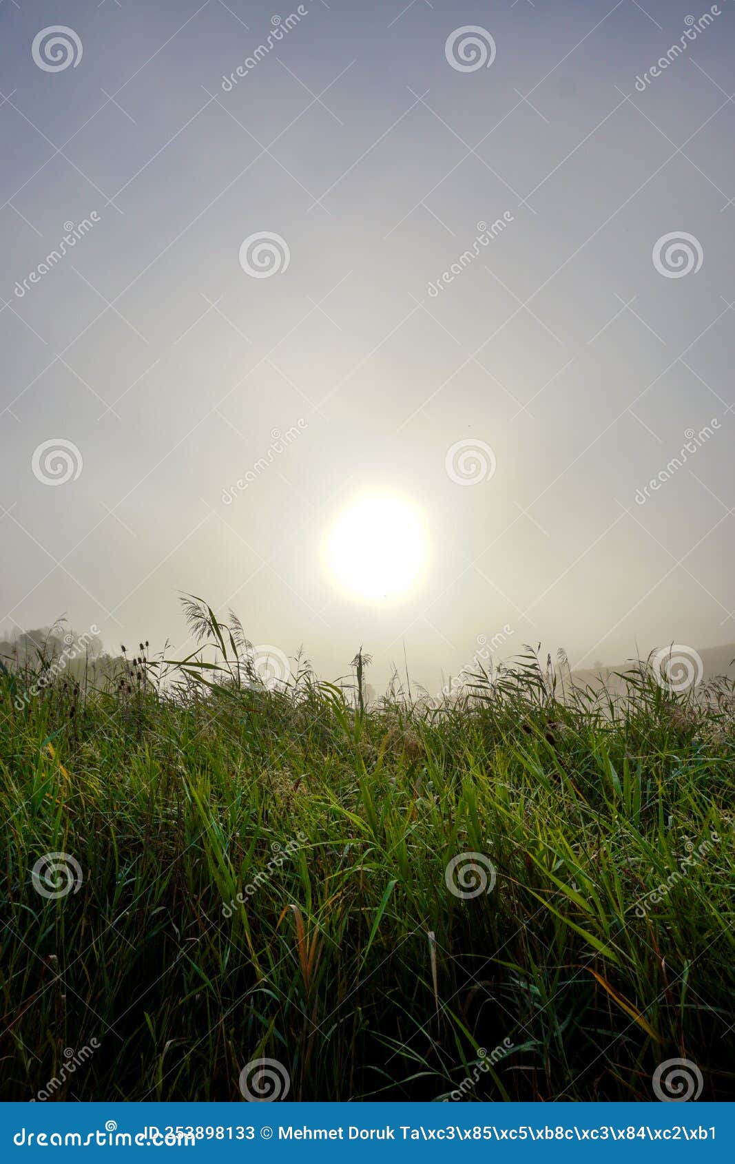 Nature Is Waking Up And Spring Is Coming. One Beautiful Moment. A New ...