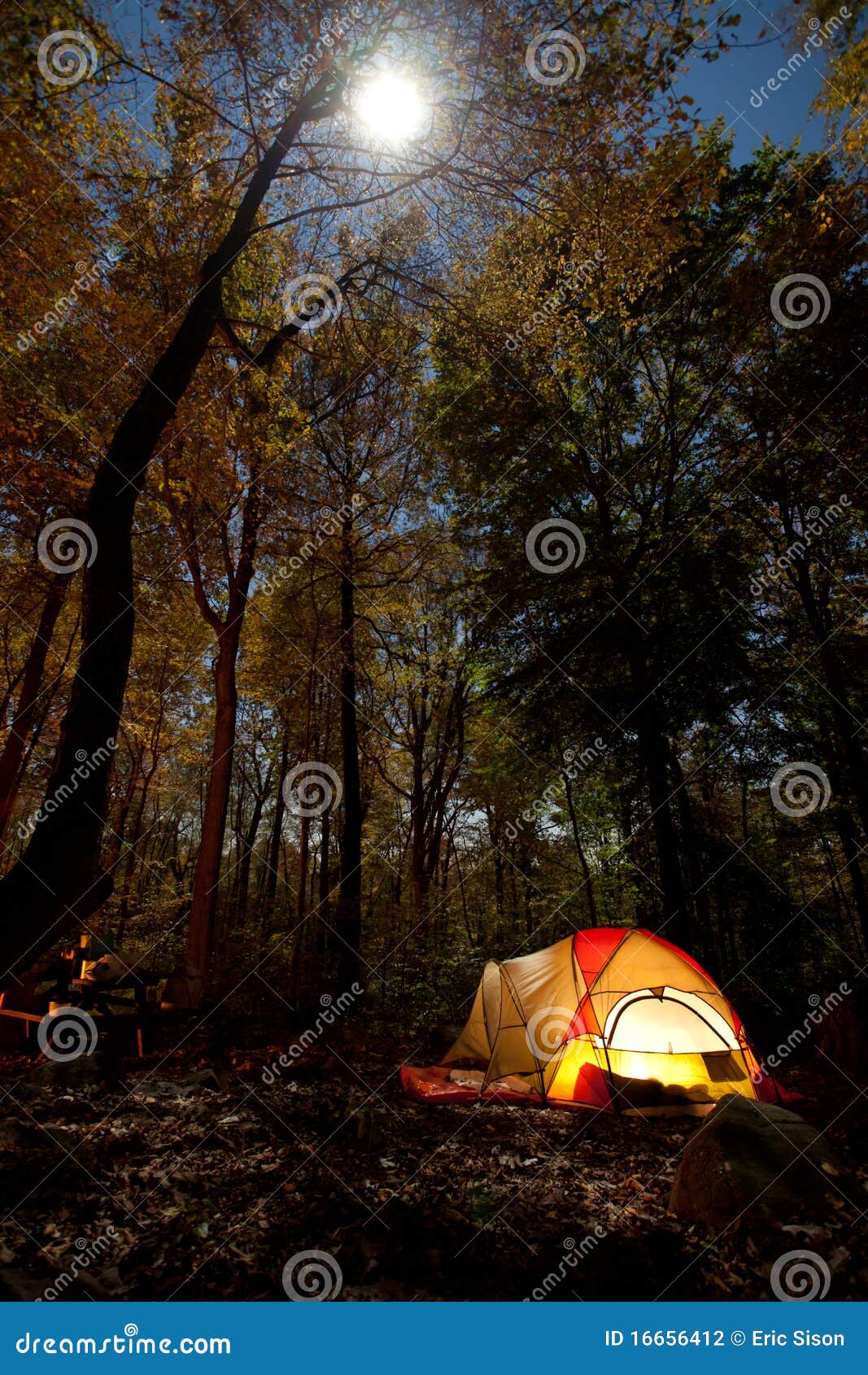 Camping at night stock photo. Image of moonlight, fall - 16656412