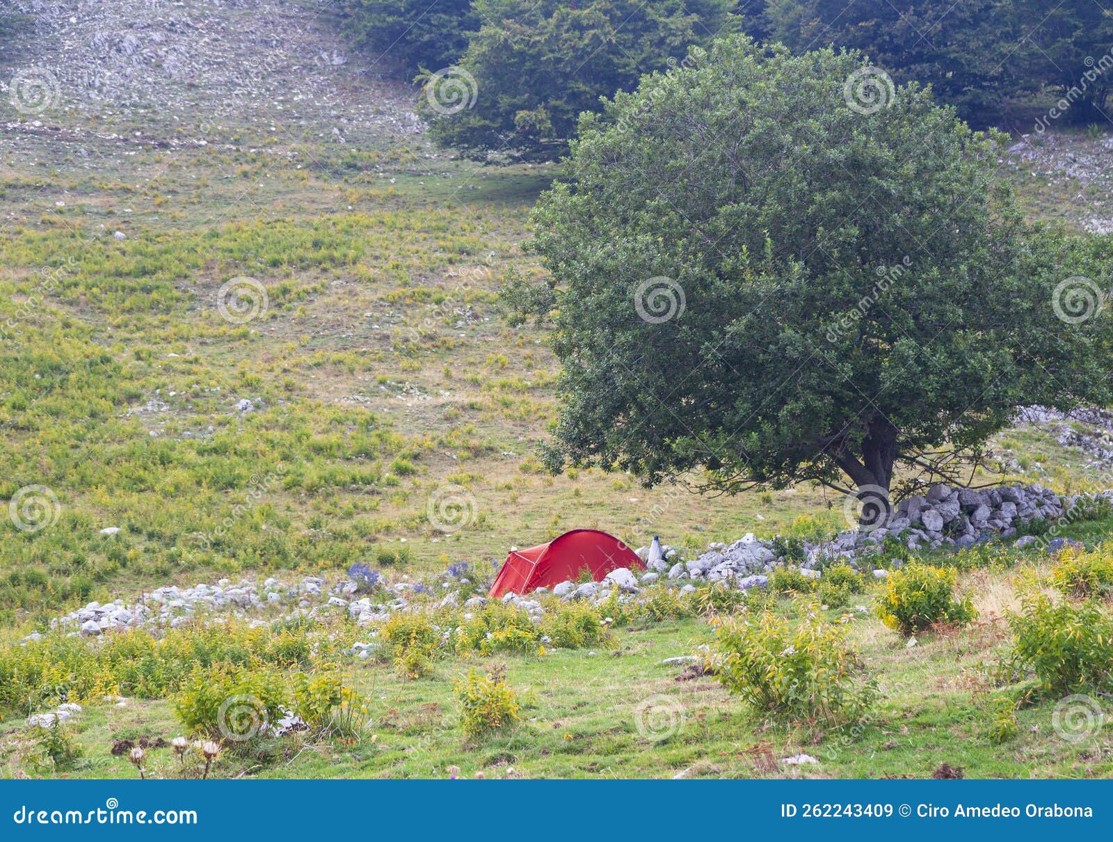 Camping with orange tent stock image. Image of vacation - 262243409