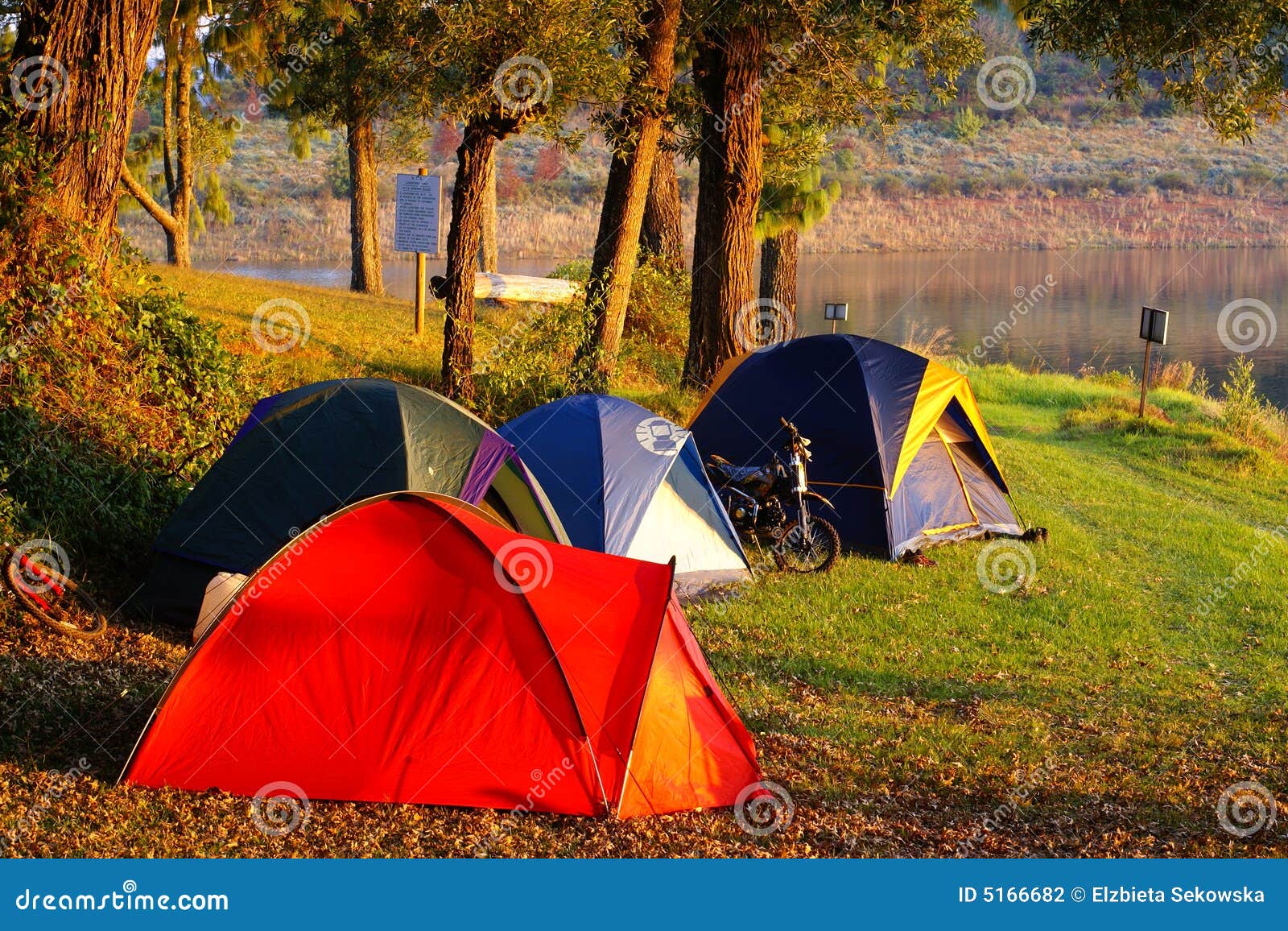 Camp Site In The Forest, Campground At Park. Camping And Tent Under The ...