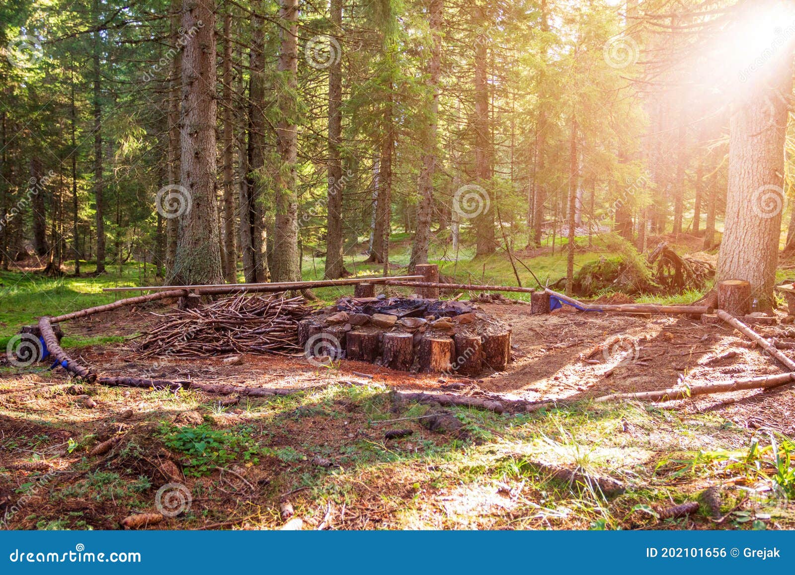 Bonfire in the forest. stock photo. Image of fire, flare - 202101656