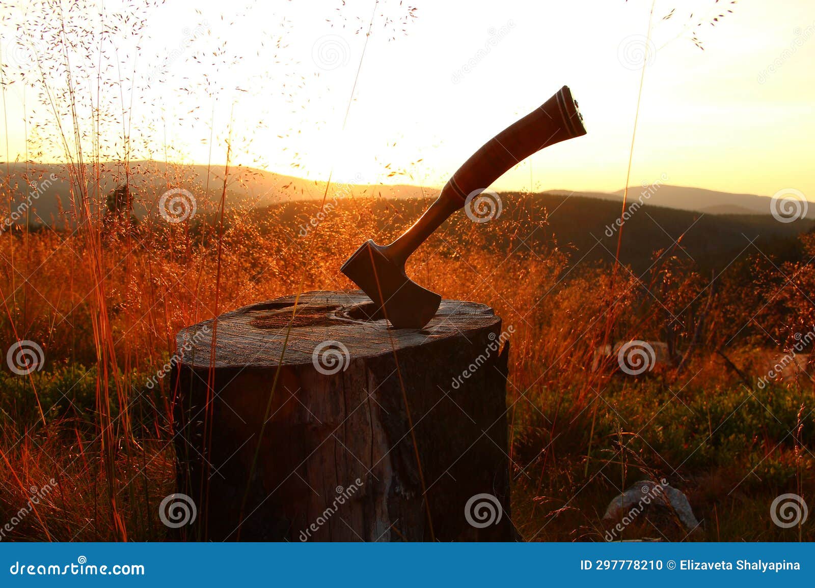 Camping in the sunset stock photo. Image of tree, stump - 297778210