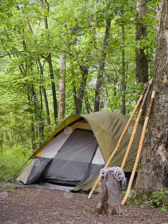 Camping Tent stock photo. Image of gear, stump, leaves - 1159692